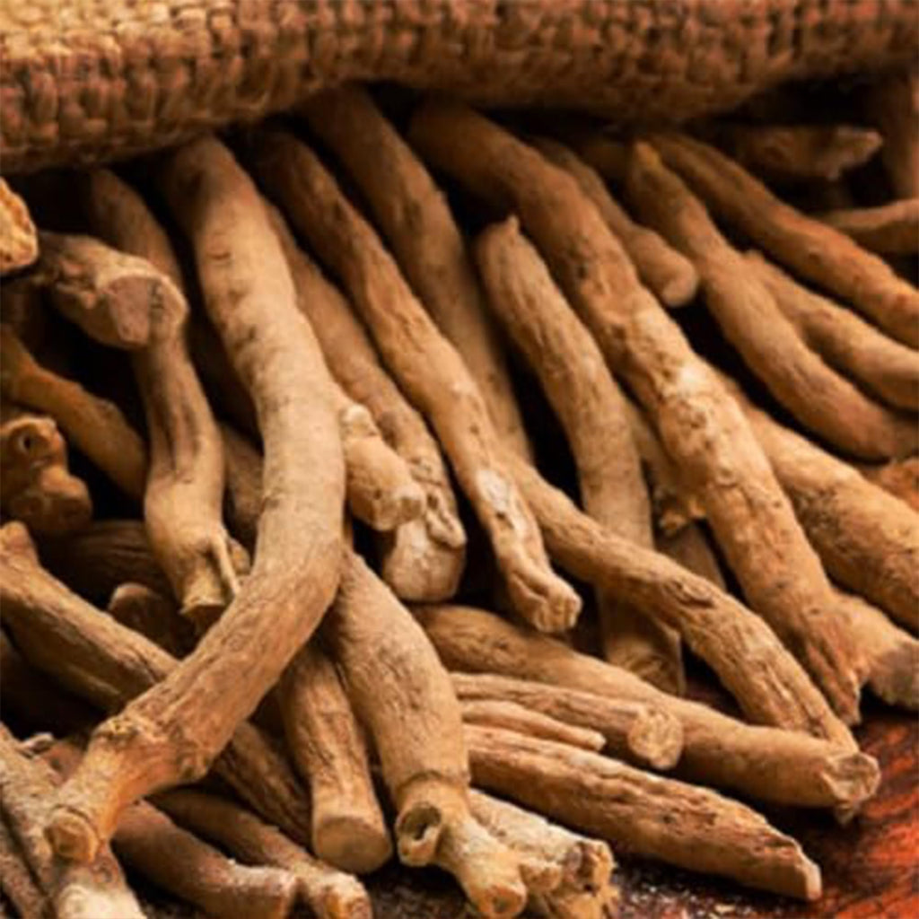 Earthborn Elements health benefits