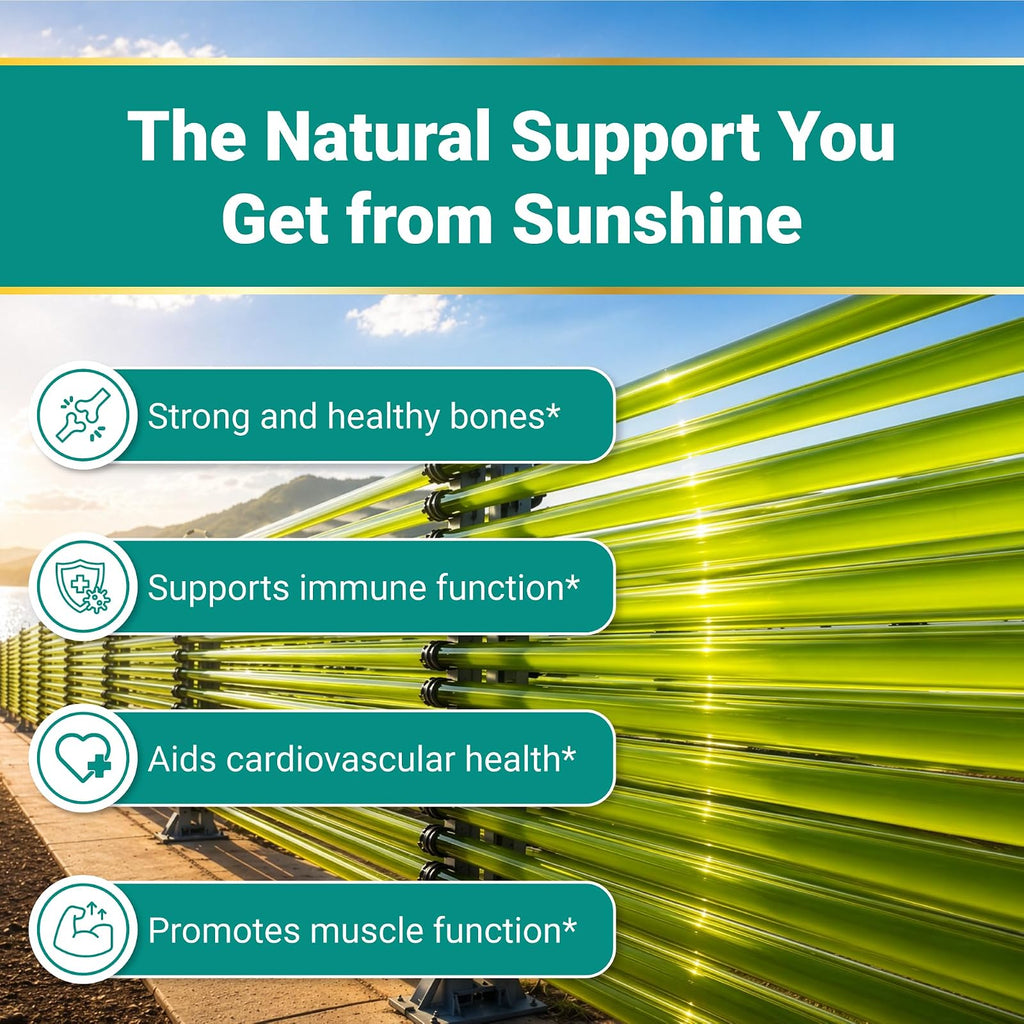 Easily digestible vegan softgels