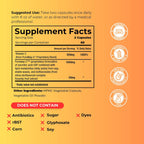 easy absorption vitamin c capsules