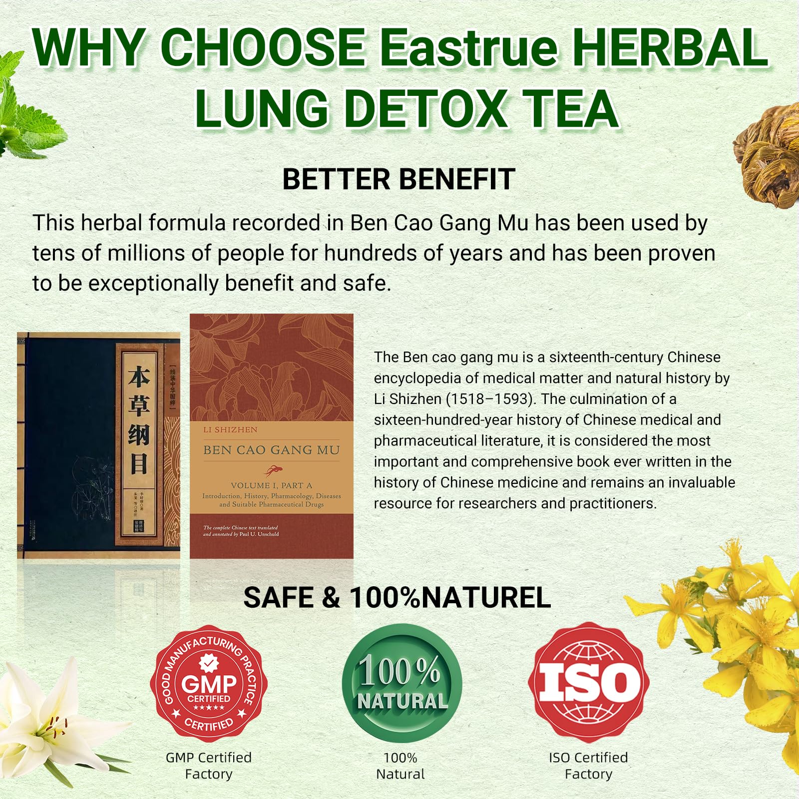 easy brew mullein tea for daily use