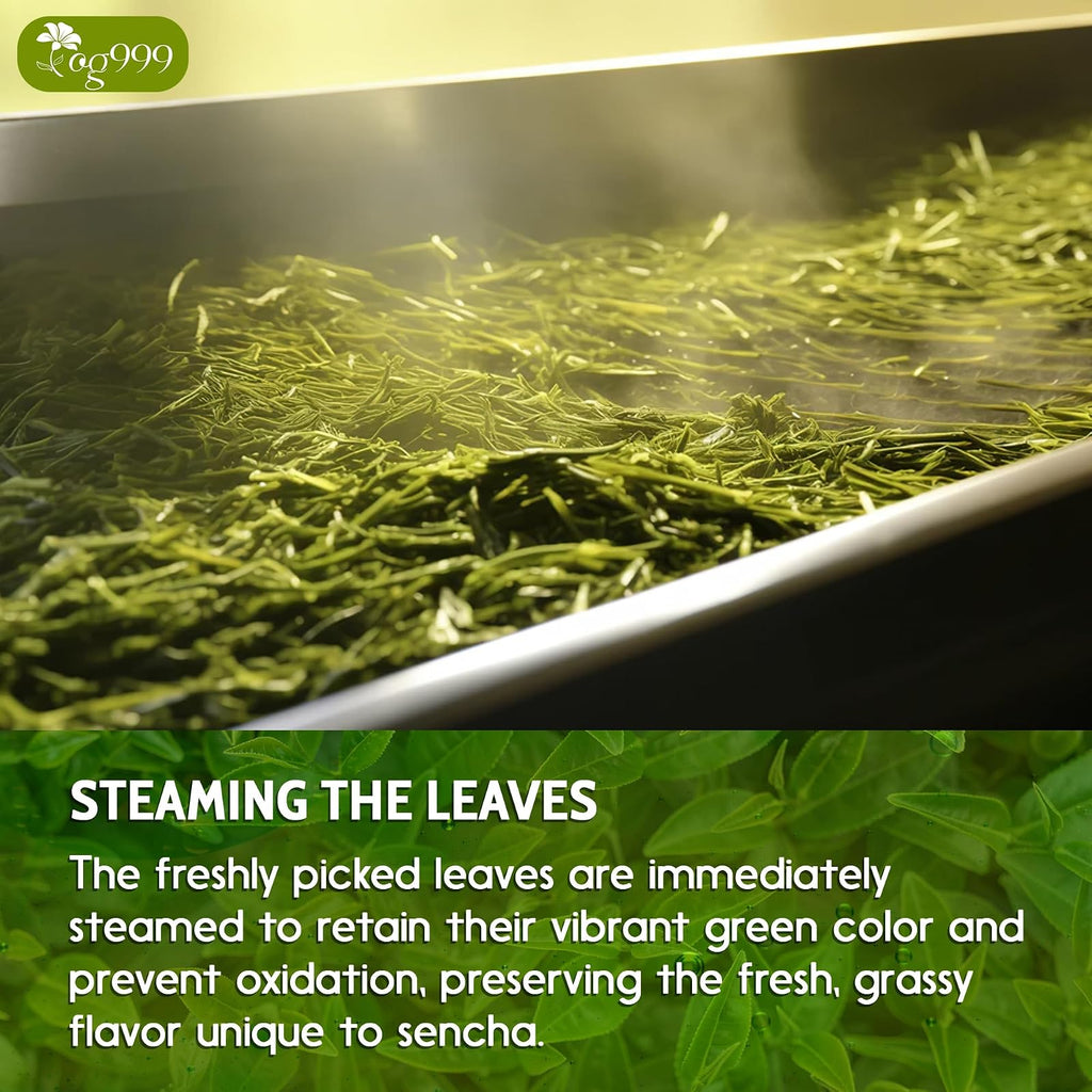 easy brew sencha green tea
