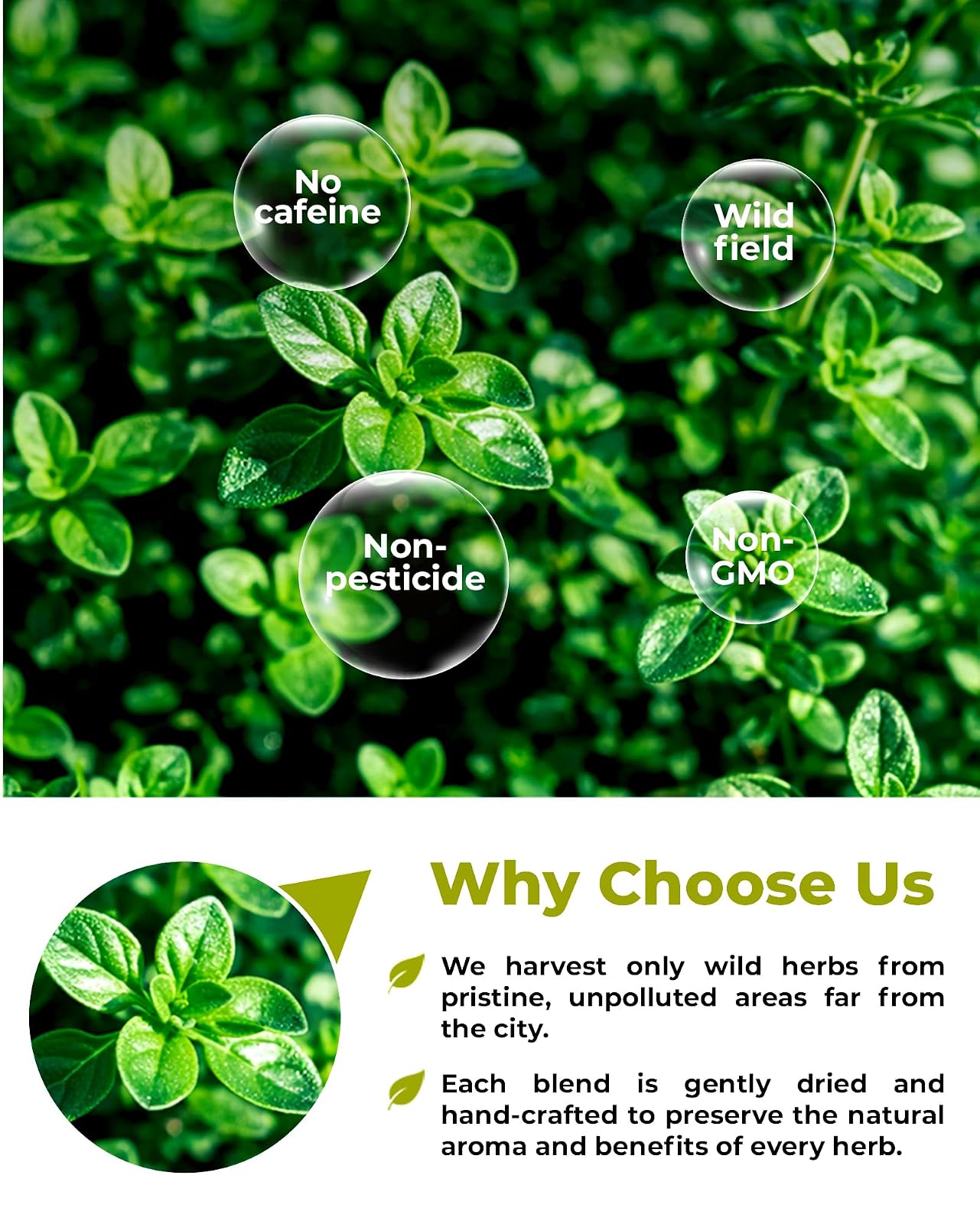 easy brew thyme tea experience