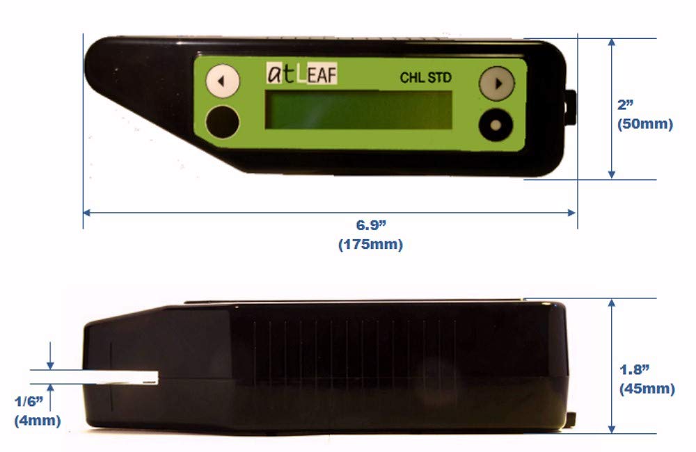 easy chlorophyll testing at home