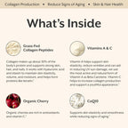 easy collagen powder stick packs