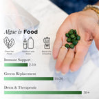 easy digestion chlorella supplement