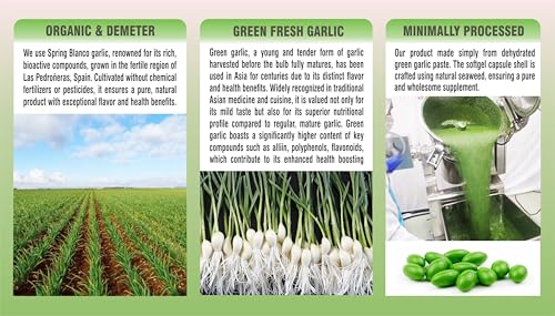 easy digestion organic garlic capsules