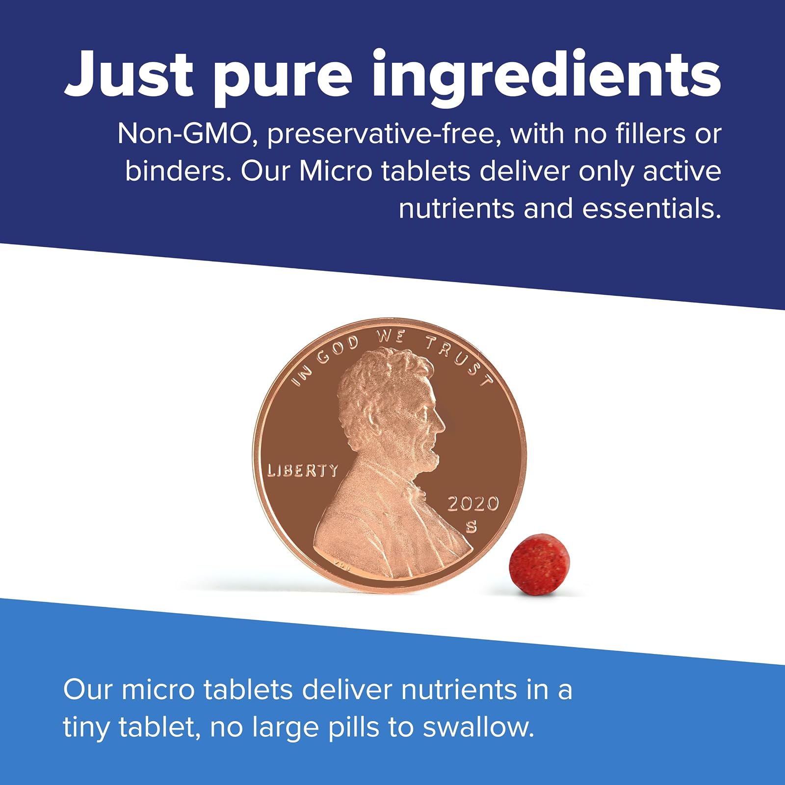 easy dissolve B12 tablets