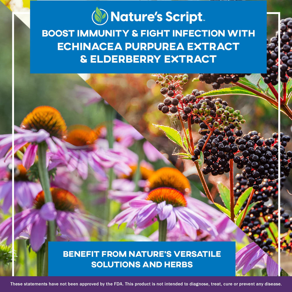 easy elderberry gummies for daily use