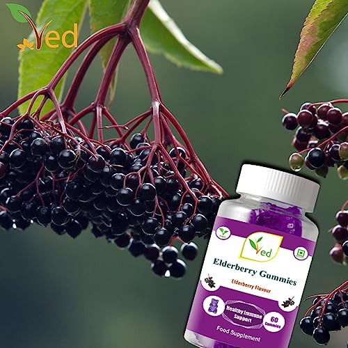 easy elderberry gummies for daily use