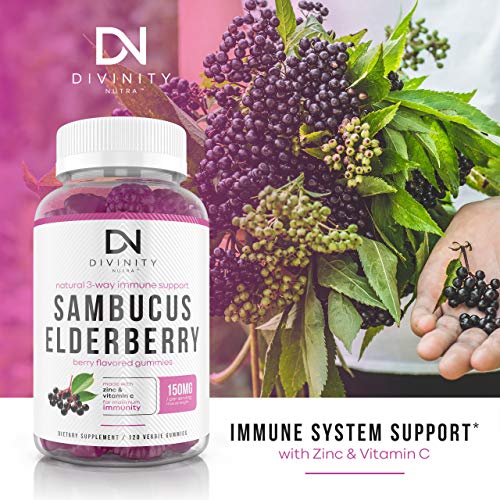 easy elderberry gummies for family wellness