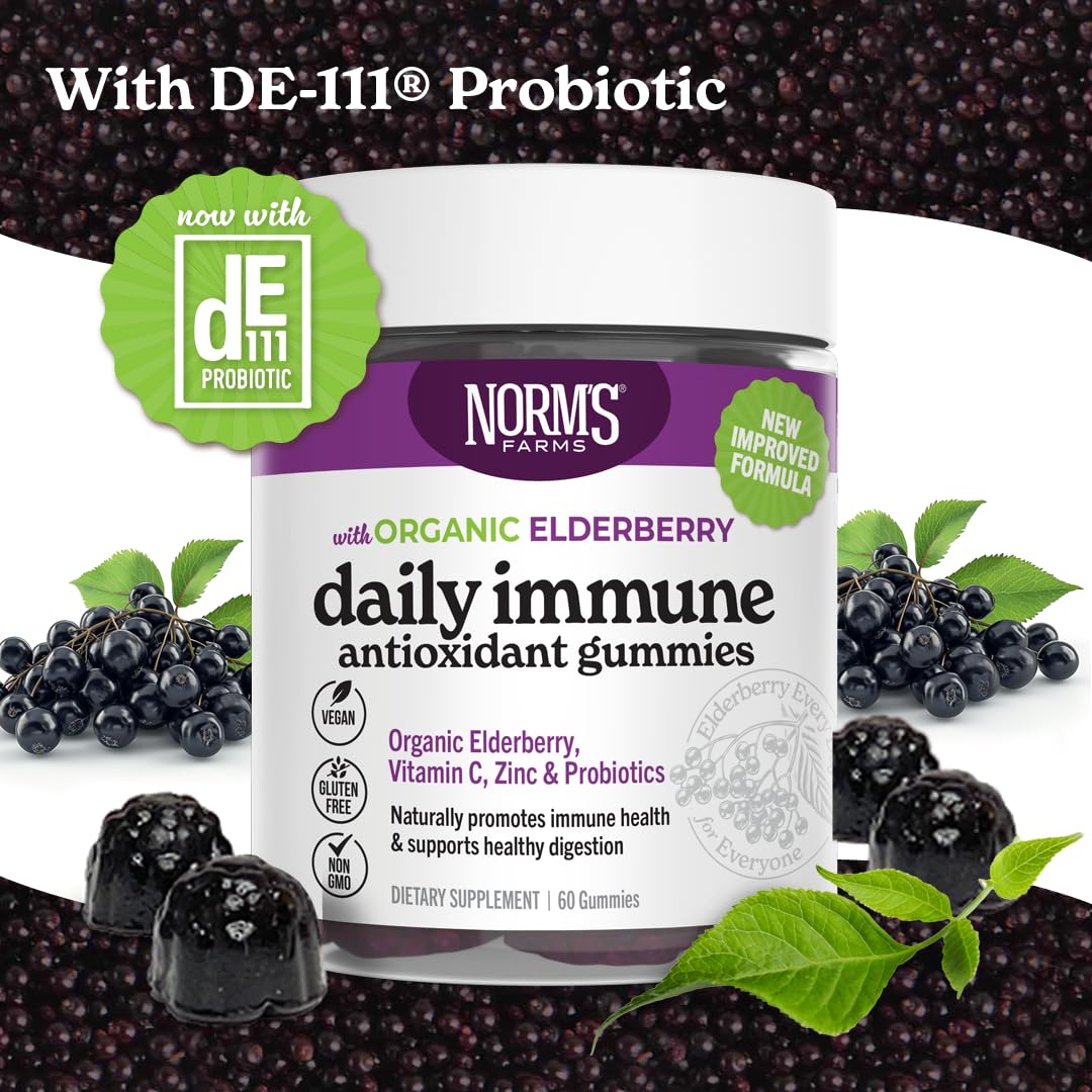 easy elderberry gummies for family