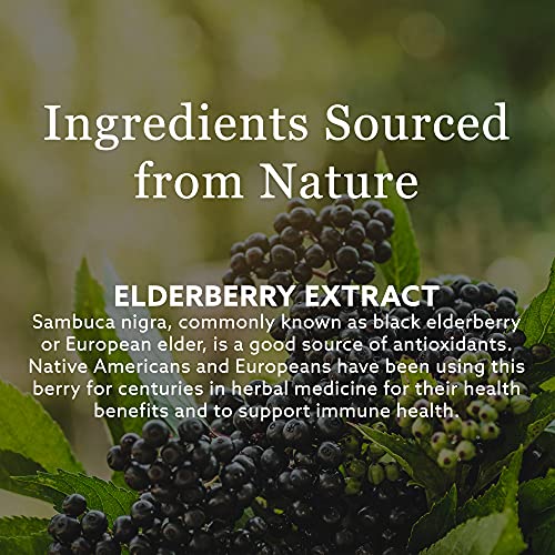 easy elderberry gummies for immune health