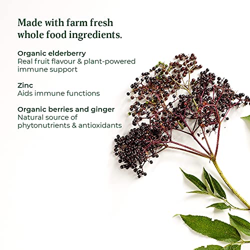 easy elderberry gummies for kids