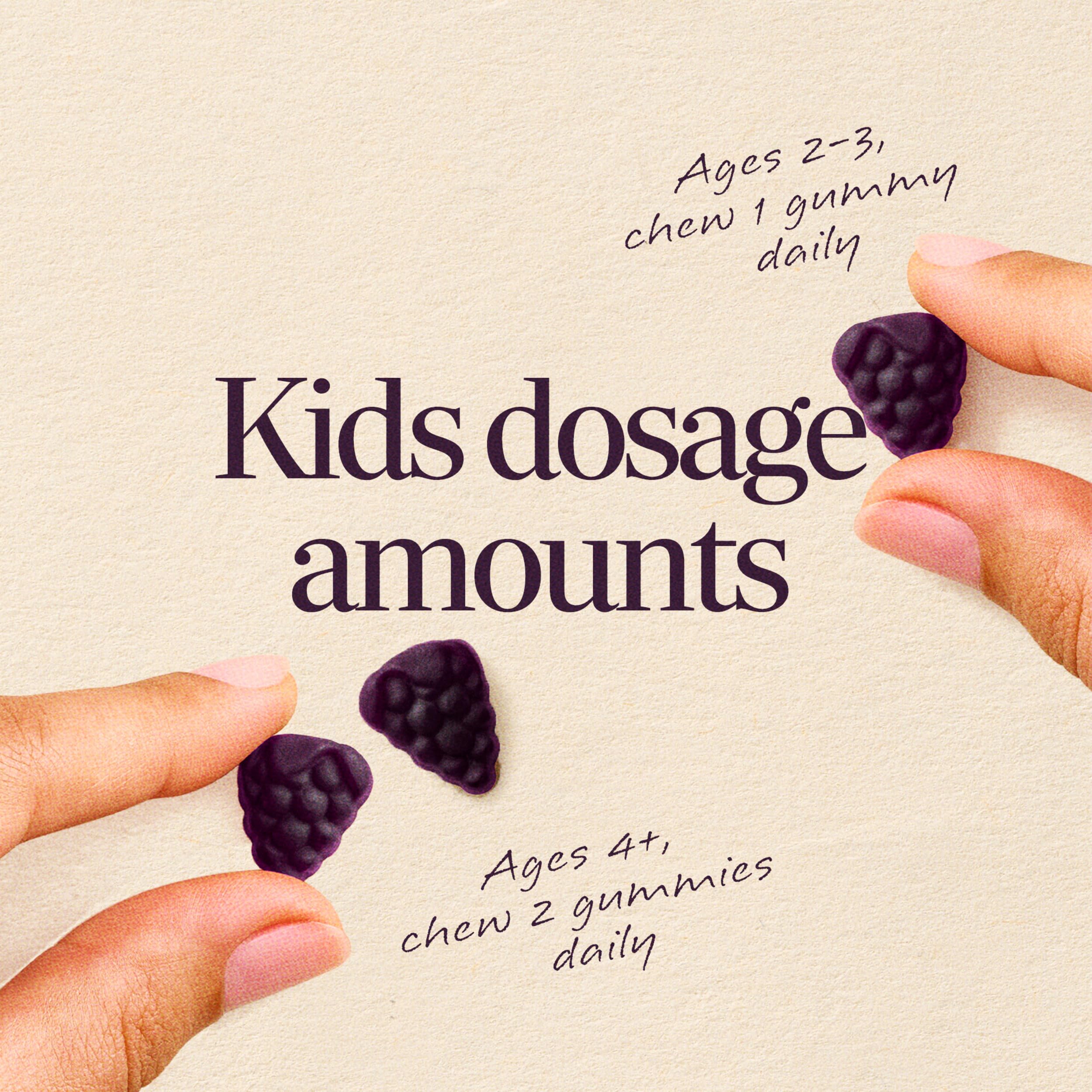 easy elderberry gummies for kids
