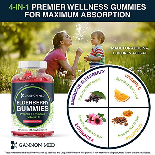 easy elderberry gummies for the family