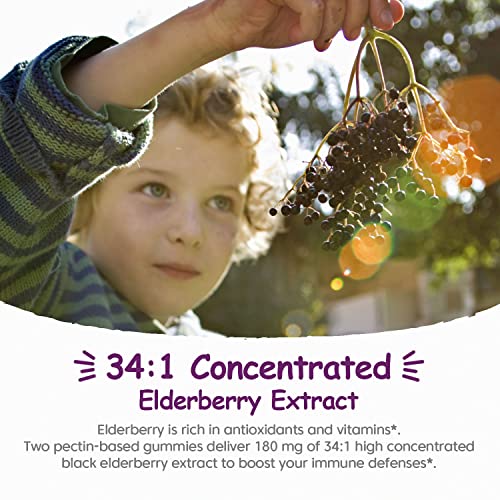 easy elderberry gummy recipe at home