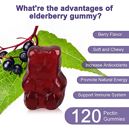 easy elderberry gummy recipe at home