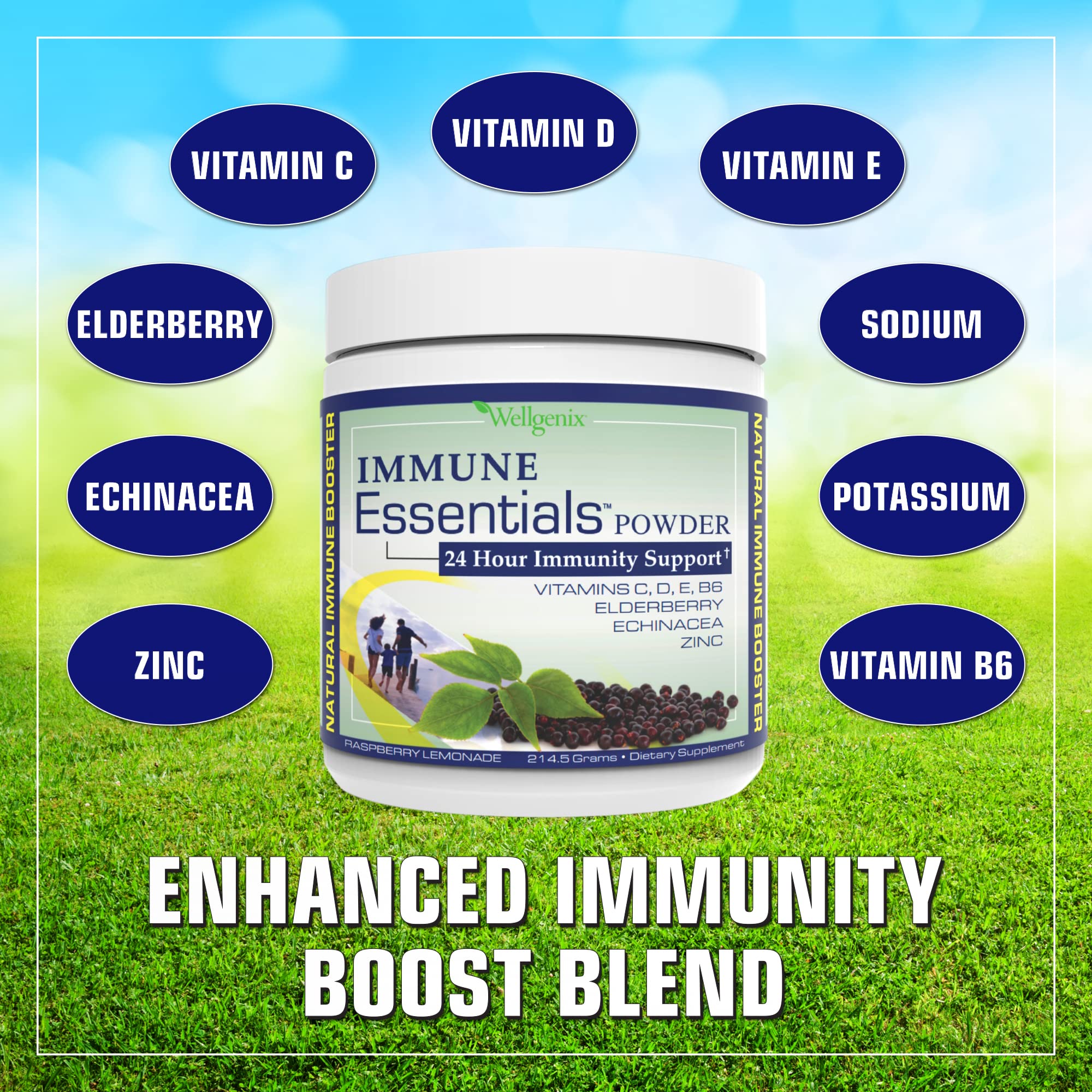 easy elderberry nutrition for daily health