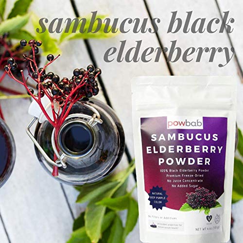 easy elderberry powder for daily use