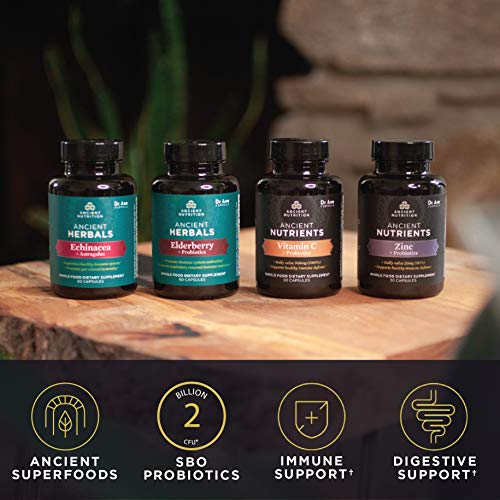 easy elderberry supplement for families