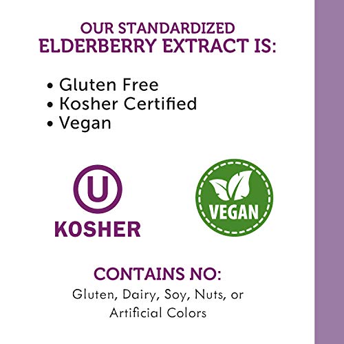 easy elderberry syrup for kids' wellness
