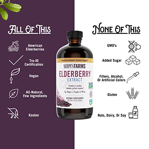 easy elderberry syrup recipe at home