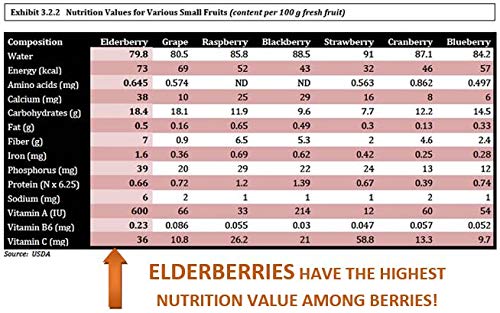 easy elderberry syrup recipe included