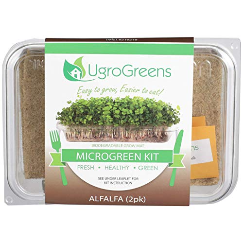 easy home gardening with alfalfa