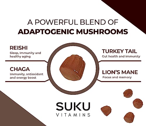 easy immune support with mushroom gummies