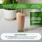 easy meal replacement protein shake
