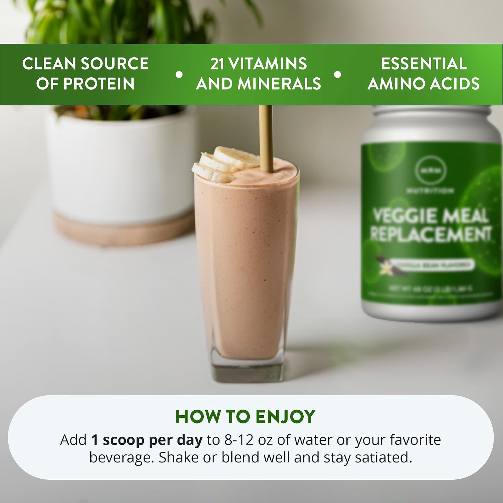 easy meal replacement protein shake