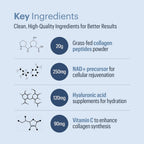easy mix collagen powder drink
