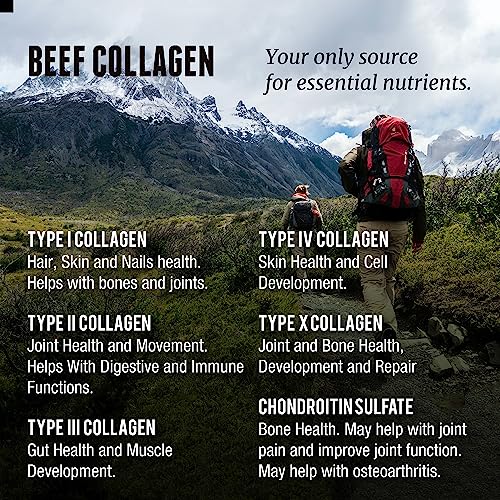 easy mix collagen supplement