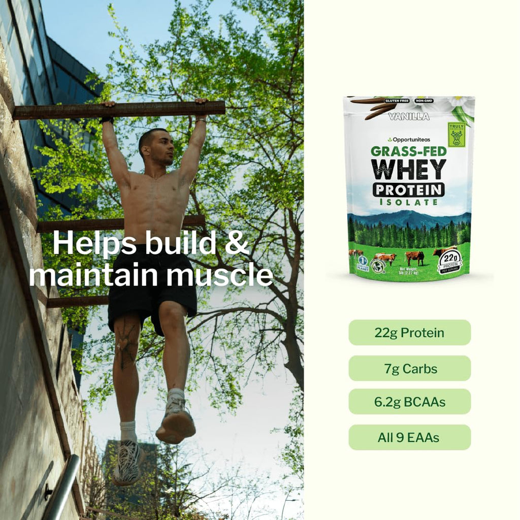 easy mix vanilla protein shake