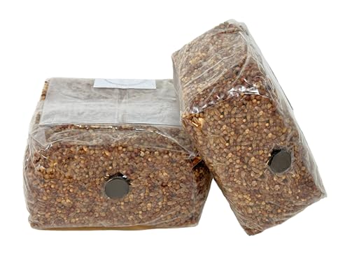 easy mushroom cultivation supplies