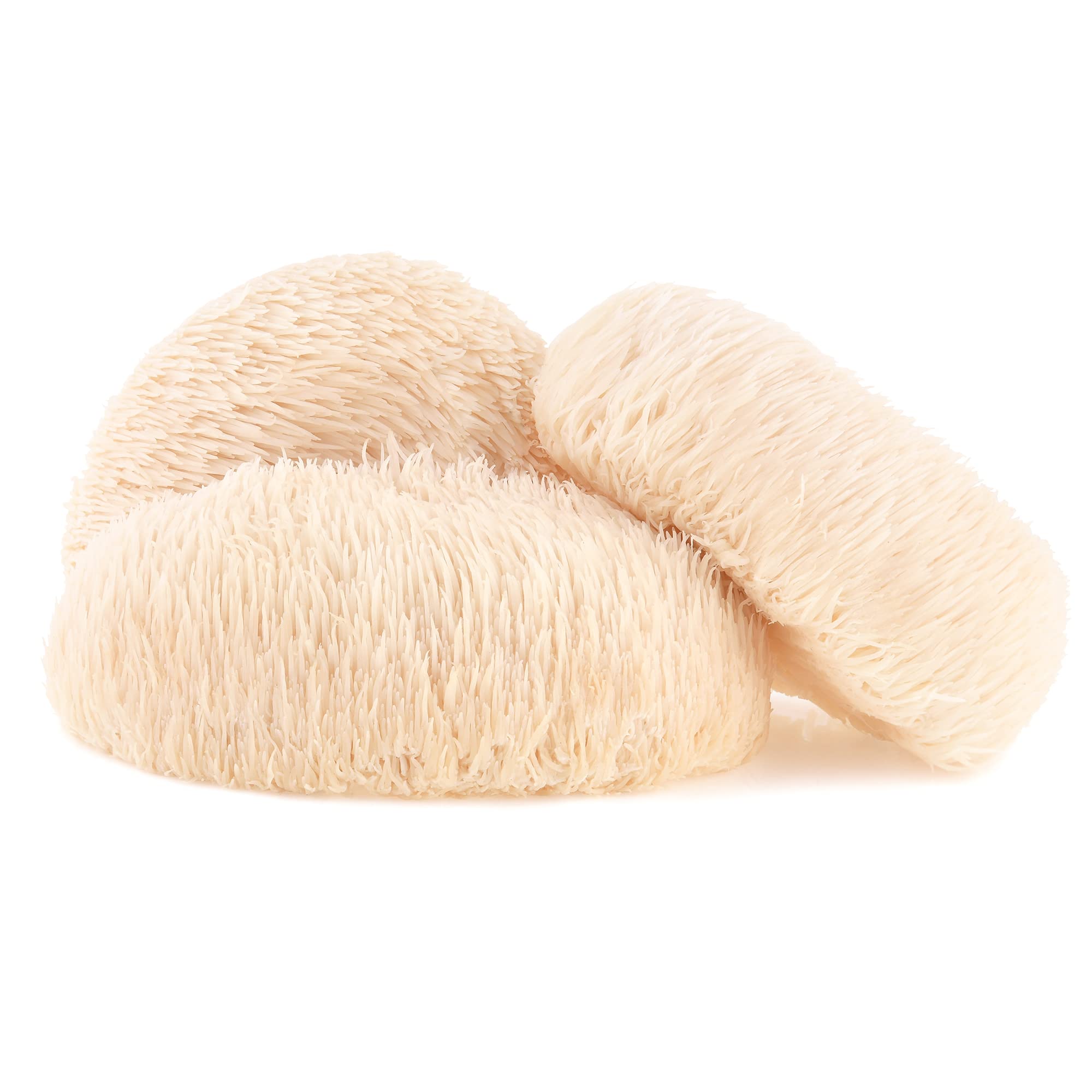Easy mushroom cultivation with syringe