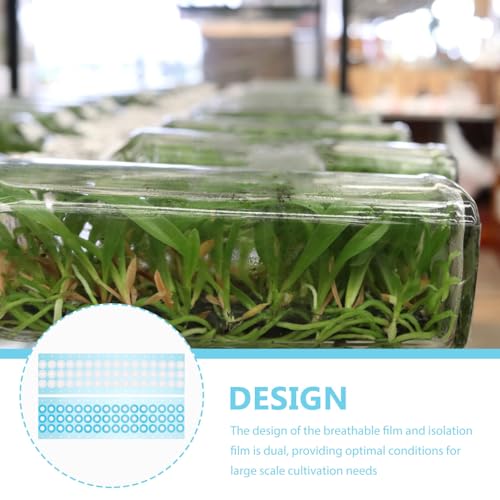 easy mushroom growing solution
