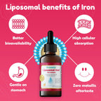 easy to absorb iron supplement