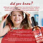 easy to absorb iron supplement