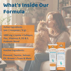 Easy-to-administer L-Lysine for pets