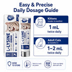 easy-to-administer L-Lysine paste