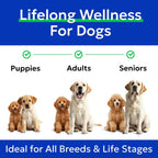 easy to chew fish oil for dogs