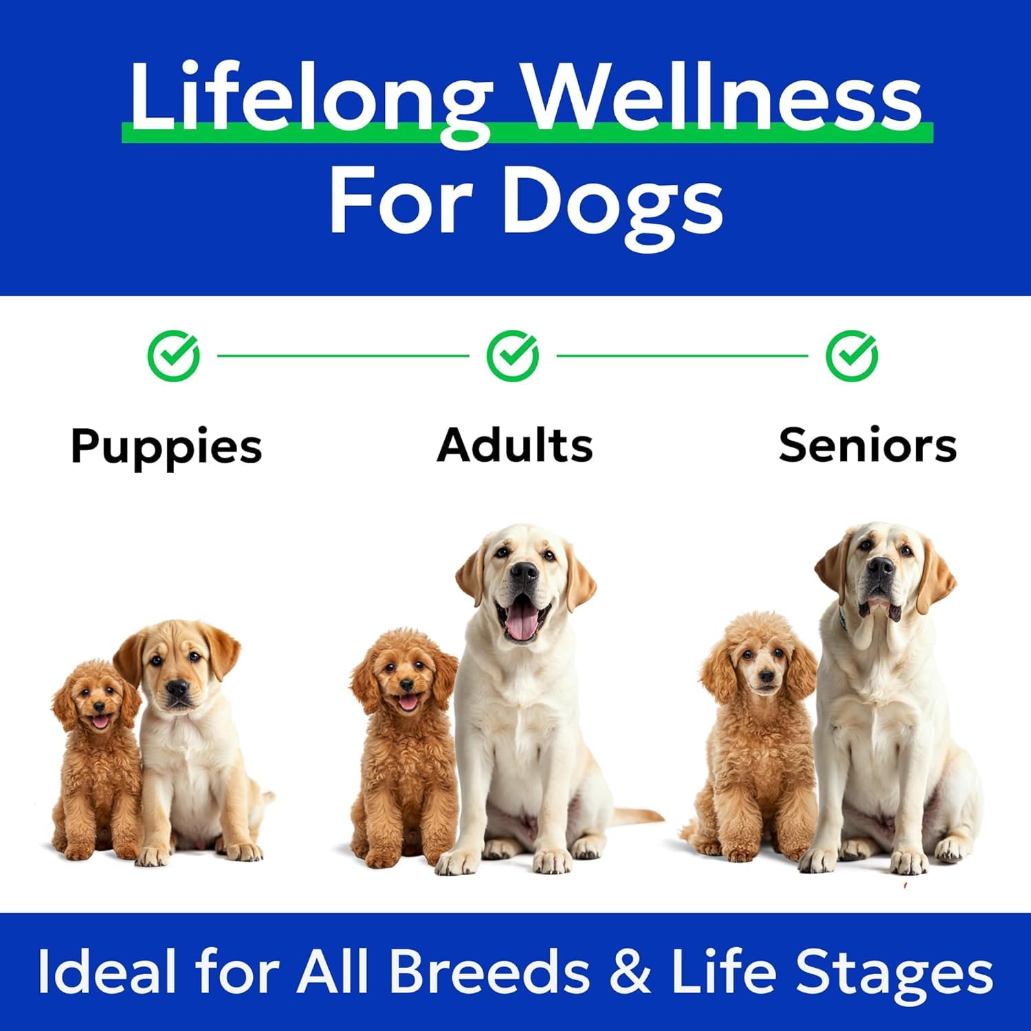 easy to chew fish oil for dogs