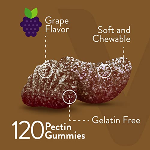easy to chew iron vitamin gummies