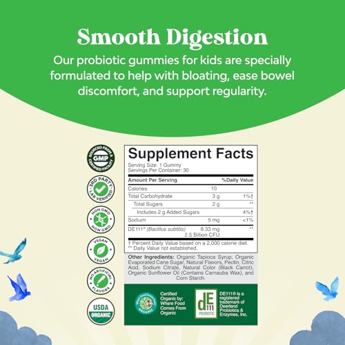 easy-to-chew kids probiotic gummies