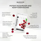 easy to chew vitamin b complex