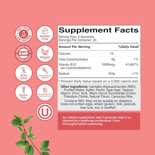 Easy-to-chew vitamin B12 gummies for adults