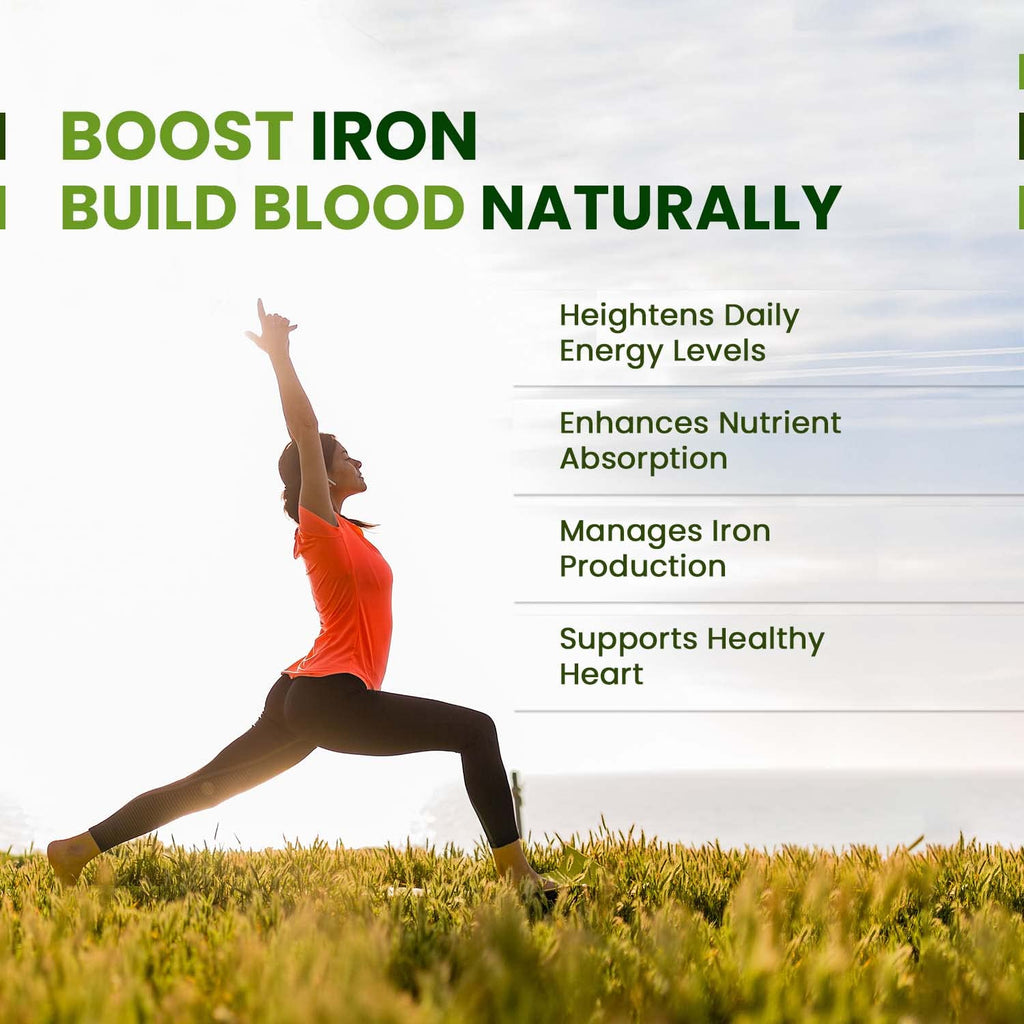 easy to digest iron capsules