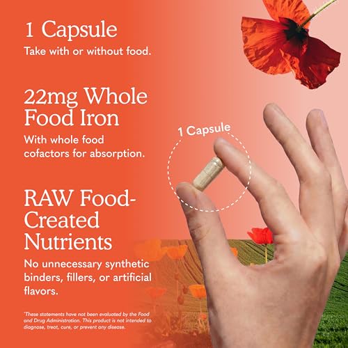 Easy-to-digest iron capsules