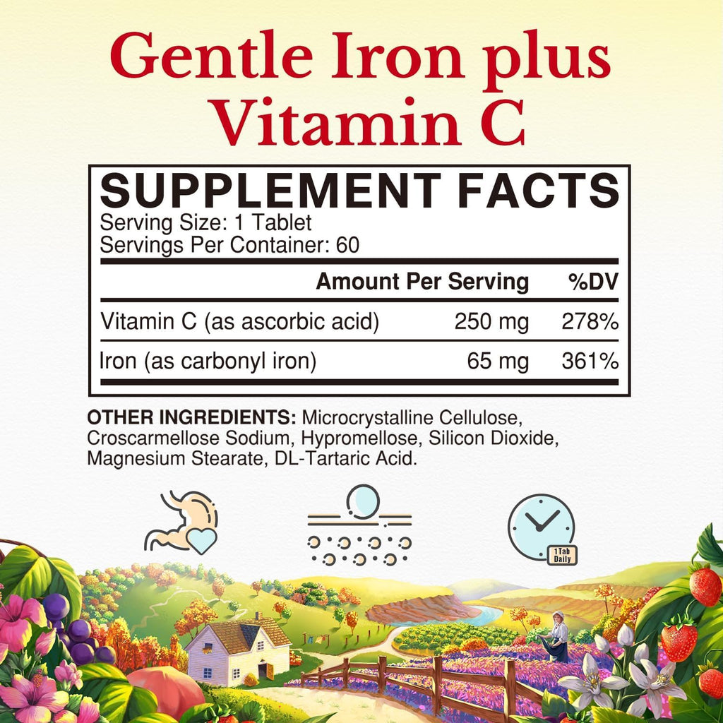 easy to digest iron supplement